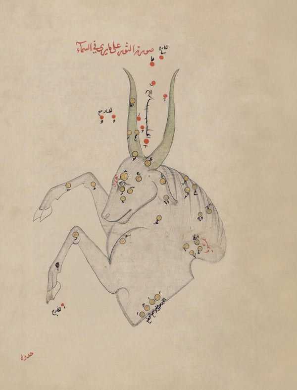 Celestial – Mapin Publishing