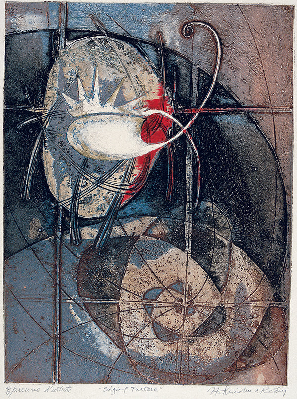 Krishna’s Cosmos – Mapin Publishing